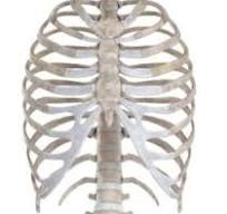 Slechte start in het nieuwe jaar. · Toerclub De Volharding